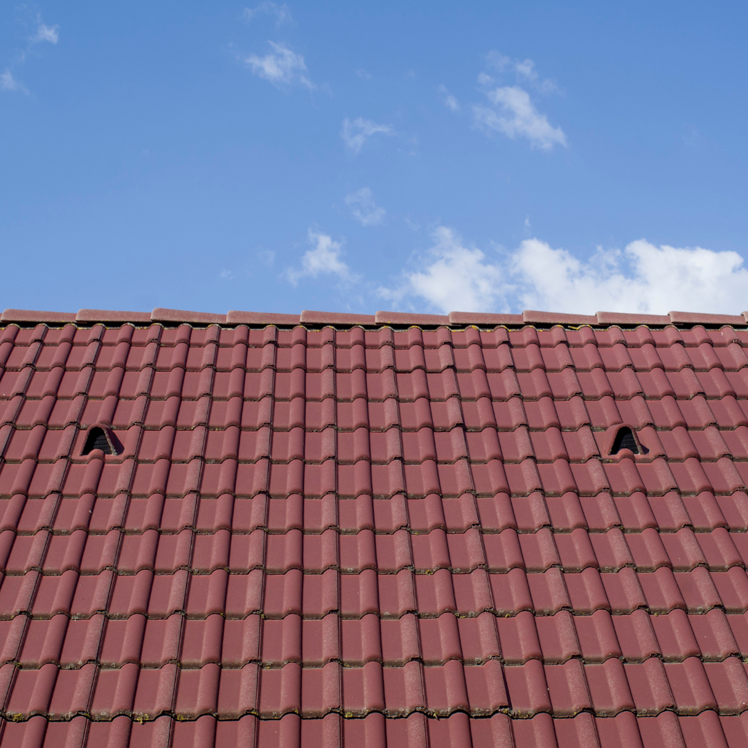 Outdoor Oasis: Transform Your Space with a Louvered Roof System - The ...